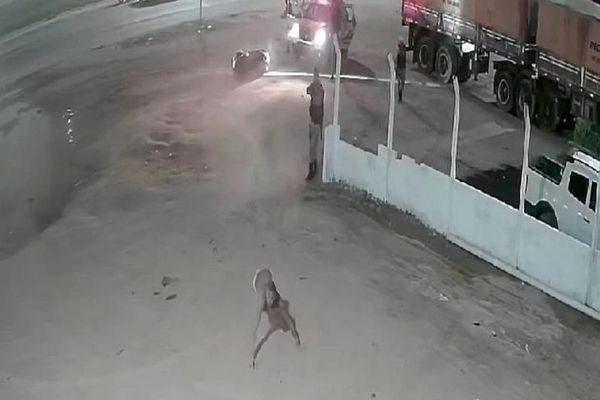 PC instaura inquérito para investigar morte de suspeito após confronto com PM; veja vídeo