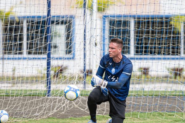 CSA anuncia contratação do goleiro Paulo Vitor e saída do volante Pedro ...